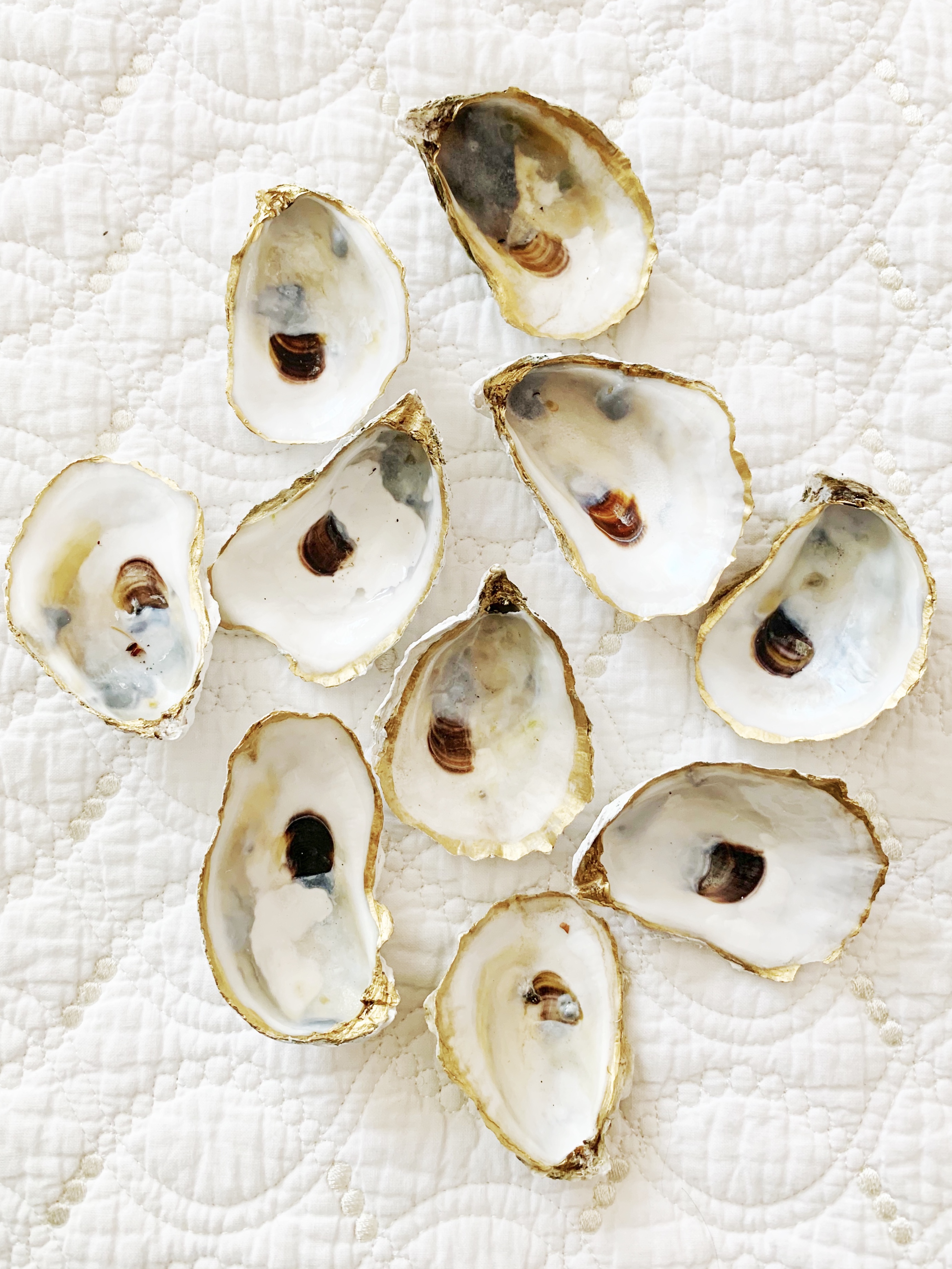 How to Make Your Own Painted Oyster Shells – New England Parisienne