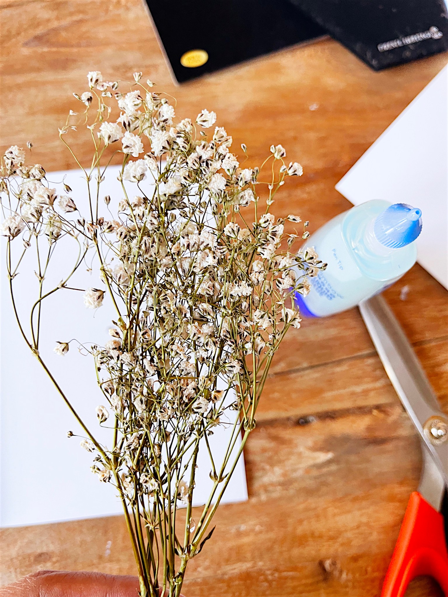 How to Make Your Own Pressed Flower Frames – New England Parisienne