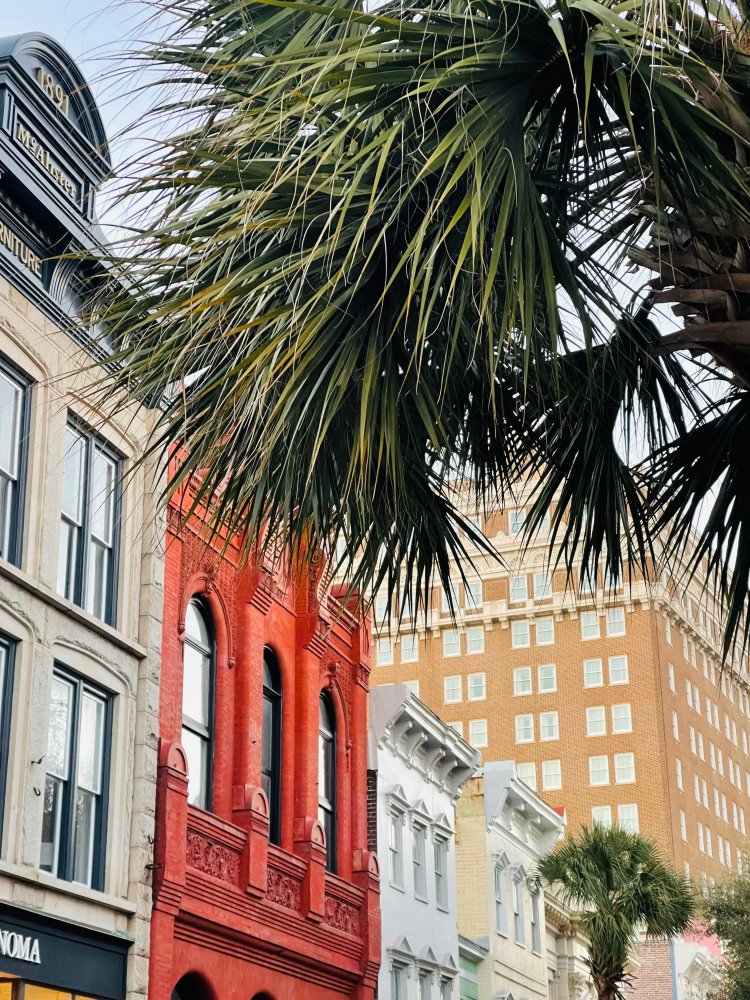 Exploring Cannonborough and Elliotborough in Charleston, South Carolina ...
